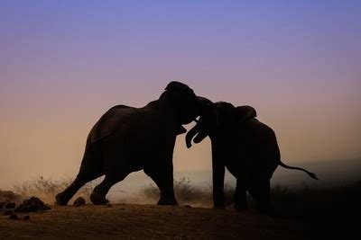 Judge S Favorites VIEWBUG Com