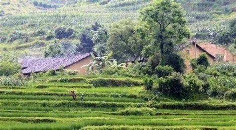 农民的好日子来了，2021年农村实施6个新政策，快来了解一下！ 工作