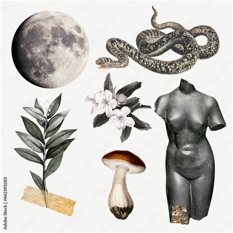 Collage Illustration Element Vector Set Printable Collage Mixed Media