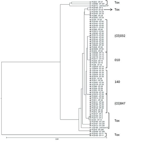 tree representation of mlst data for 69 c difficile strains with the