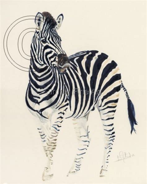 Zebra Im Too Sexy For My Stripes Mallardart At Simply Fine Art