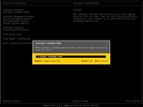 VMware VSphere 6 Enable Lockdown Mode In VMware ESXi 6 0 TechCrumble