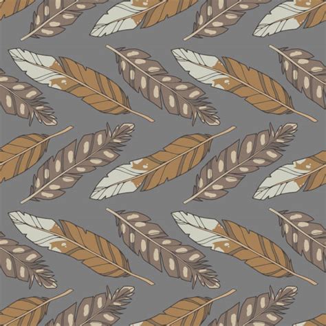 Eagle Feather Texture Illustrations Royalty Free Vector Graphics And Clip Art Istock