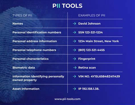 The Complete Guide To Pii Pii Tools