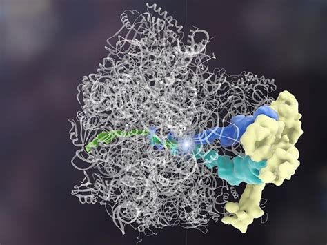 Science Graphic Of The Week Scientists Discover The First Protein That Can Edit Other Proteins