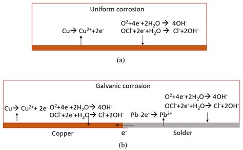 Schematic Illustration Of Anodic Reactions And Cathodic Reactions Of Download Scientific