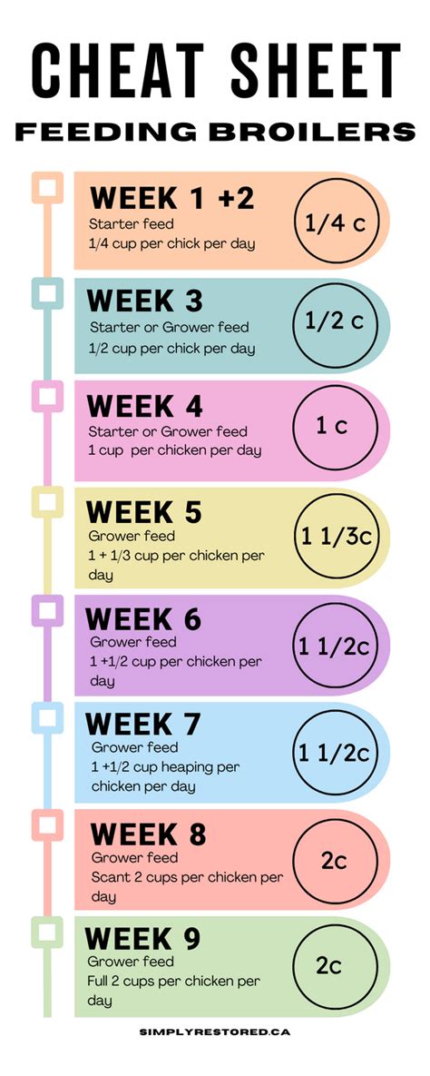 Best 12 How Many Cups Of Feed Chicks Layers Broilers Artofit