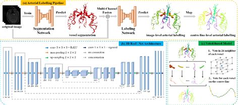 Figure 1 From A Deep Learning Based Framework For Automatic Segmentation And Labelling Of