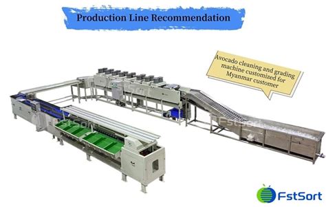 pears sorting machine