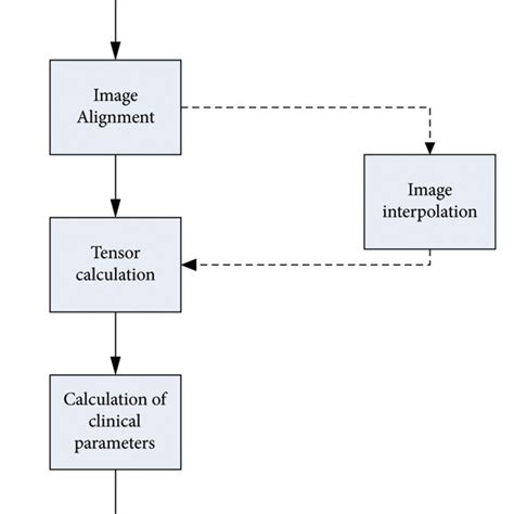 Diffusion Tensor Imaging Data Processing Flow Download Scientific Diagram