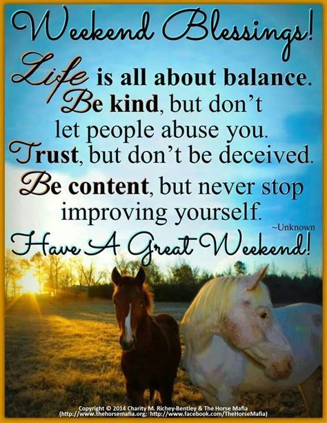 Pin By Bettyann Wills On Horses Happy Weekend Quotes Good Day Quotes