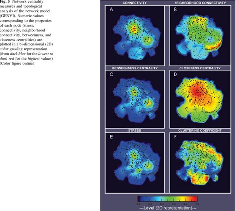 Network Centrality Measures And Topological Analysis Of The Network Download Scientific Diagram