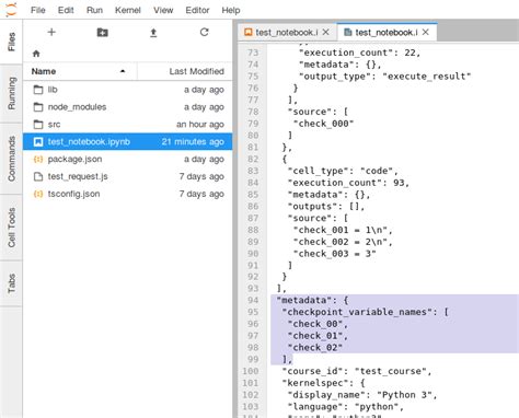 Support For Notebook Metadata And Persistence · Issue 3379 · Jupyterlabjupyterlab · Github