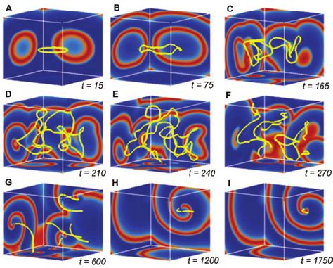 Winfree Turbulence Of Vortex Filaments And Its Suppression By External