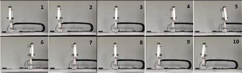 Ten Sequential Images From The Uncertainty Experiment Download Scientific Diagram