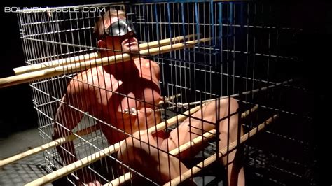 Tyler Saint Is Caged Like A Pow Metalbondnyc Com
