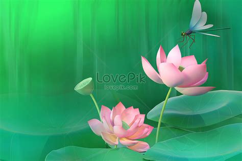 여름 연꽃 배경 이미지 Hd 아멜리에 배경 사진 무료 다운로드 Lovepik