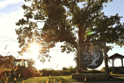 GALLERY Tree House Brewing Co