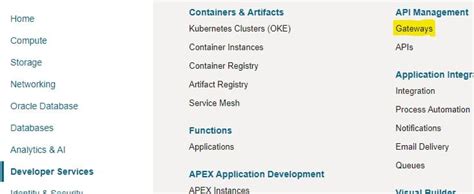 Use Api Gateway To Invoke Basic Authentication Rest Apis From Oci Data