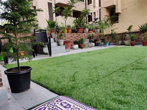 Artificial Grass Carpet At Rs 30sq Ft Grass Carpet In Varanasi Id