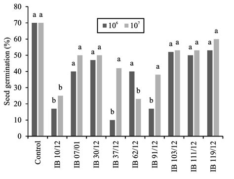 Effect Of Strains Of Trichoderma Spp On Pintado Soybean Glycine