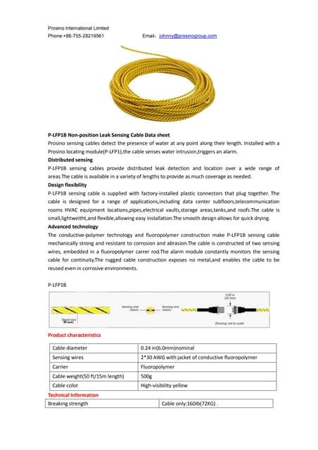 Water Leakage Detection Expert Ppt