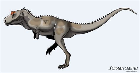 Xenotarsosaurus Pictures And Facts The Dinosaur Database