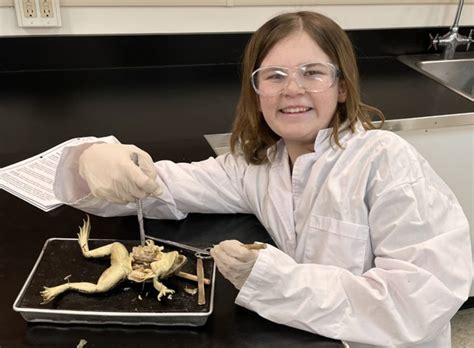 School News Mixed Reaction On Frog Dissection South Peace News