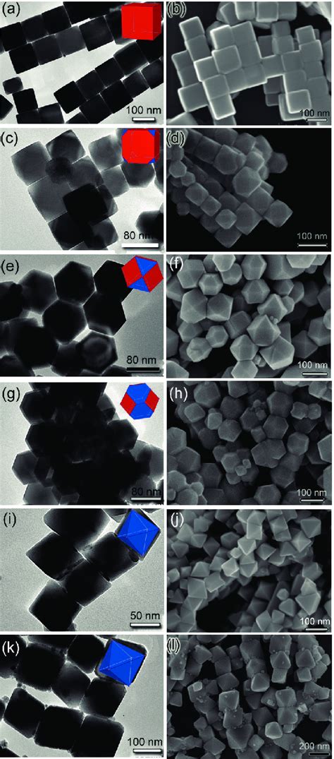 Tem Left And Sem Right Imagesoff E 3 O 4 Nps Synthesized In The