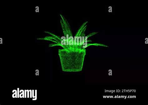 3d Pot With Flower Rotates On Black Bg Object Dissolved Green Flickering Particles 60 Fps