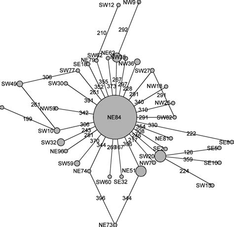 median joining network g 0 for the 35 haplotypes of nigerian