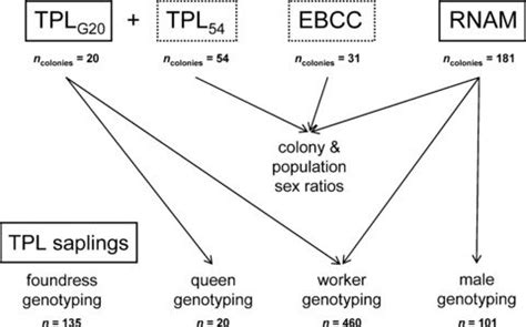 Synoptic Diagram Of The Three Different Datasets And Their Use In This Download Scientific