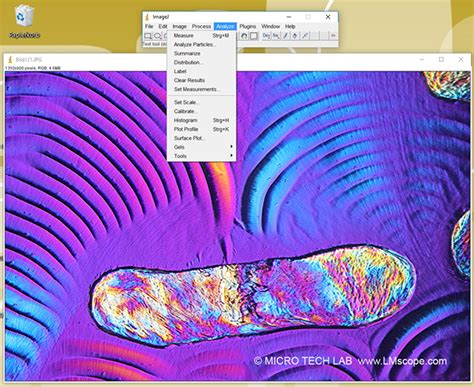 Brief Review Java Imagej Software Editing And Processing Software In
