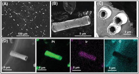 A Sem Micrographs Of Iro2 Pt Micromotors At Low Magnification And Download Scientific Diagram