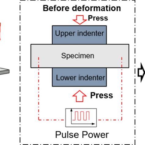 Sampling Location Of Ebsd Sample At Deformed Specimen Download