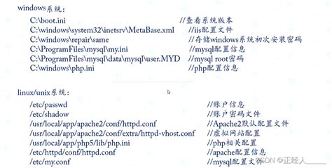 破解文件包含漏洞：实践技巧、案例分析和检测工具推荐 Csdn博客