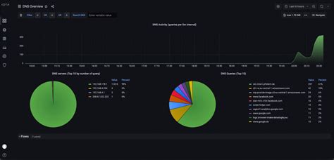 Auditing Specific Domains Via Dns Profitap Knowledge Base