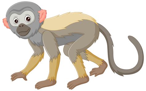 Cute Squirrel Monkey Cartoon Isolated On White Background Vector