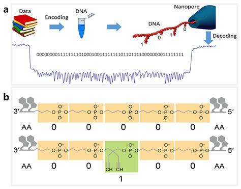 Nanopore Detection Assisted Dna Information Processing