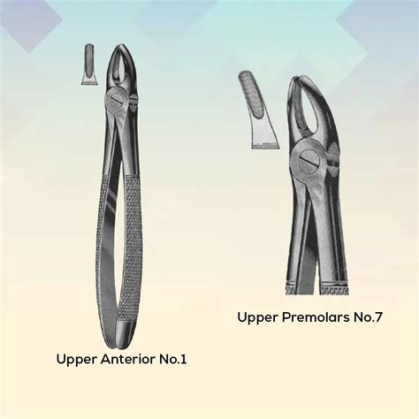 Buy Api Tooth Extracting Forceps Kit Anatomic Handle Set Of 12 At Best
