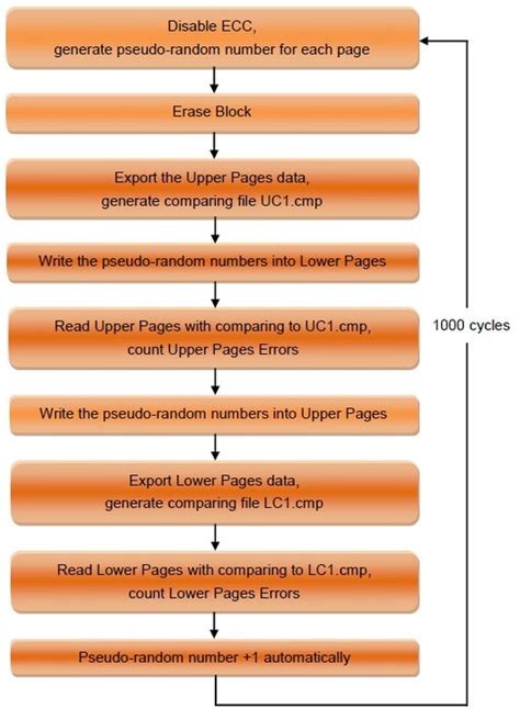 Writing Scripts With Notepad To Test The Interaction Between Lsb And Msb Program