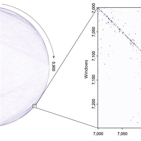Hi C Saliency Map Visualization Left Saliency Map For The All 500k Download Scientific