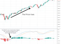 How To Find The Best MACD Settings For Your Trading Strategy
