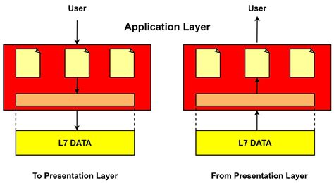 OSI Model Characteristics Layers And Functions