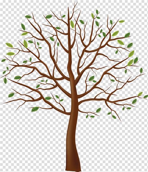 Tree Tree Transparent Background PNG Clipart HiClipart