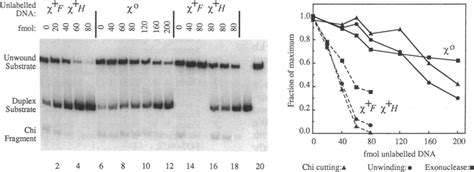 Inhibition Of Recbcd By Incubation With Chi Containing Dna Left