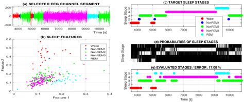 Multi Class Sleep Stage Analysis And Adaptive Pattern Recognition