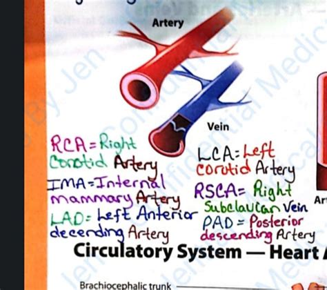 2023 ICD 10 CM Guidelines Notes Examples 40 Pages Instant Etsy