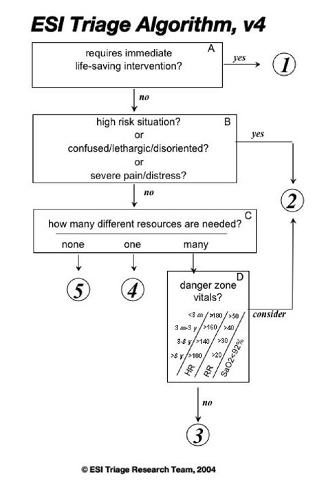 Esialgorithm Card ES Triage Algorithm V A Requires Immediate Yes Studocu