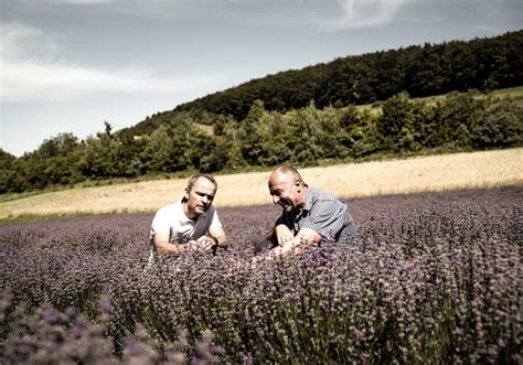 Alexander Ehrmann Posted On Linkedin